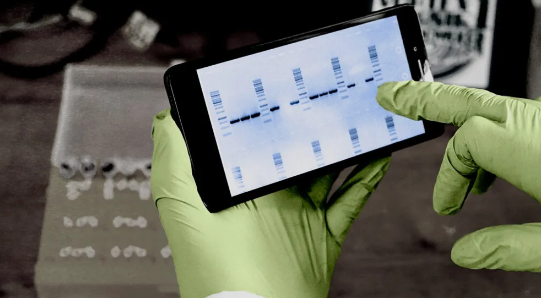 Alzheimer’s study reveals 42 new genes that may drive risk - VM Med